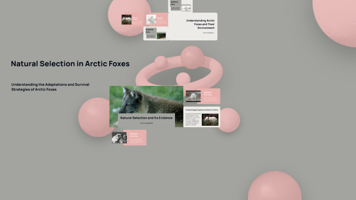 Natural Selection in Arctic Foxes by Jeondoyeon on Prezi