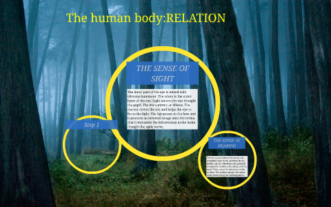 The human body:RELATION by Alicia Isabel