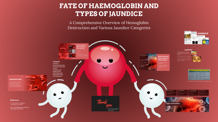 Understanding Hemoglobin Fate and Jaundice Types by Dev Hh on Prezi