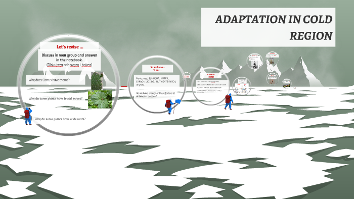 ADAPTATION IN COLD RREGION by gunjit sethi on Prezi