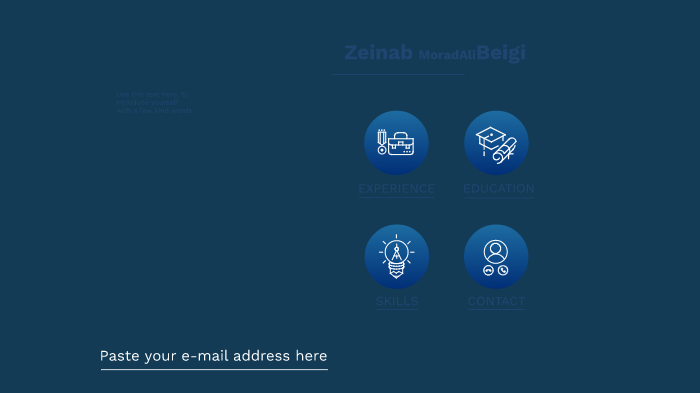 my cv by zeinab beigi on Prezi