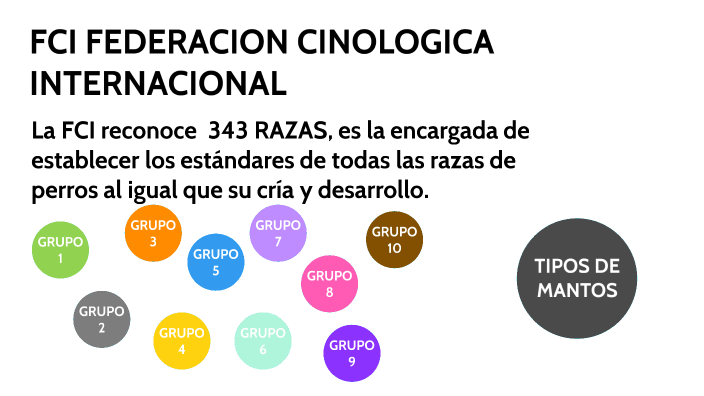 FCI by Alejandro aragon on Prezi