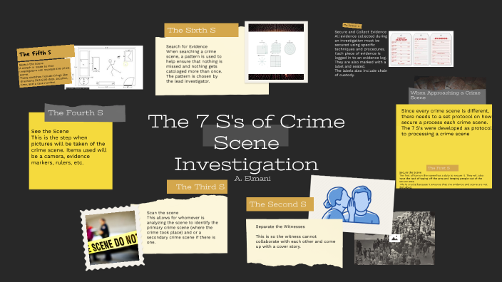The 7 S's of Crime Scene Investigations by Asmaa Elmani on Prezi