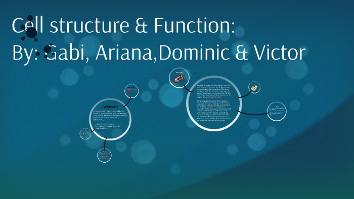 Cell structure & Function: by gabi mata on Prezi