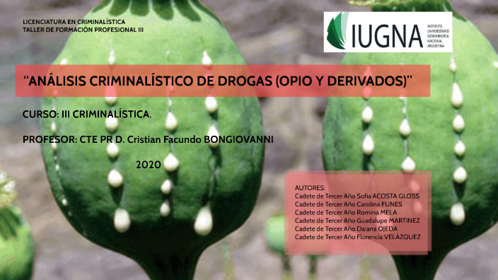 OPIO by Florencia Velázquez 1RA sección on Prezi