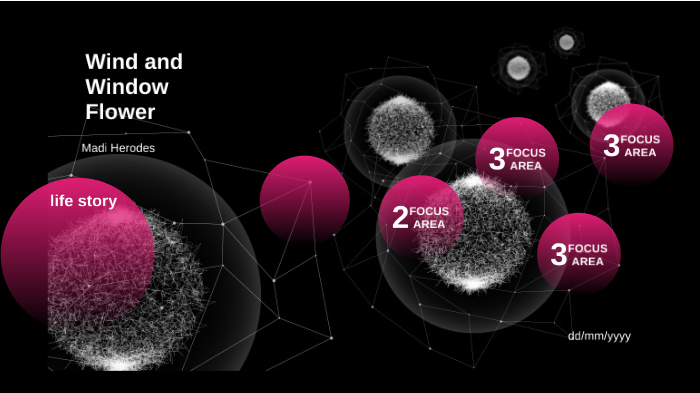 Wind and Window Flower by madi herodes on Prezi