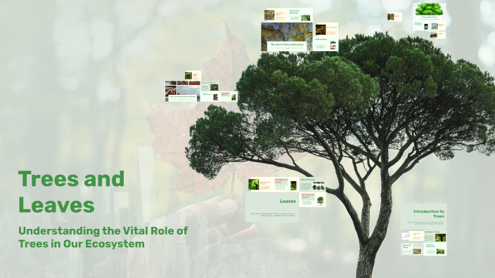 Trees and Leaves by BURCU ERDAL on Prezi