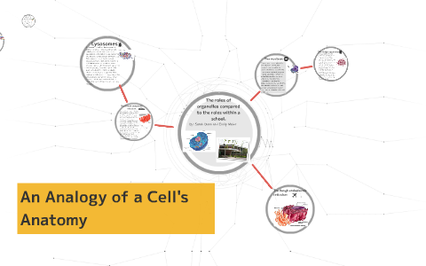 An Analogy of a Cell's Anatomy by sarah d on Prezi