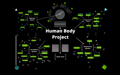 Human Body Project by Aatreya Chakravarti on Prezi