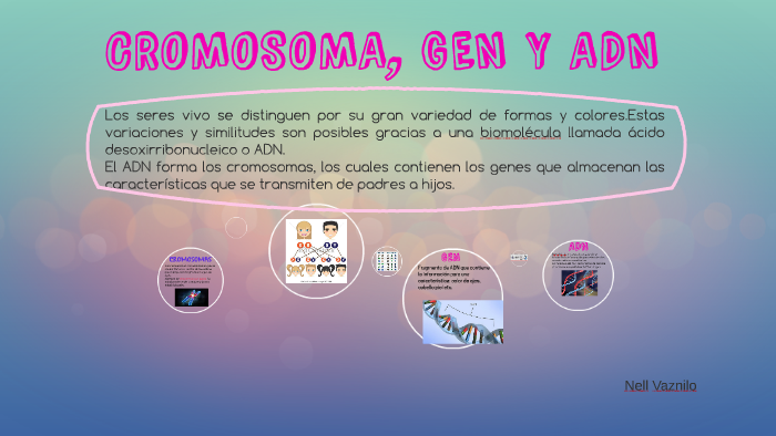 Cromosoma, gen y ADN by Cuentos de Mochila on Prezi