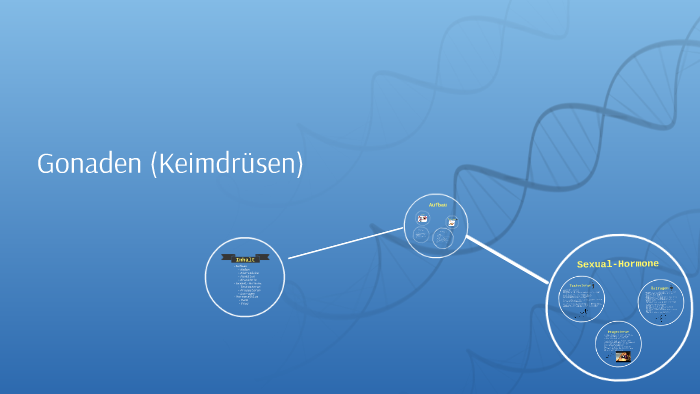 Gonaden (Keimdrüsen) by jann flühmann on Prezi