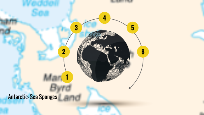 Antarctica Presentation-Sea Sponges by Henry Walker on Prezi