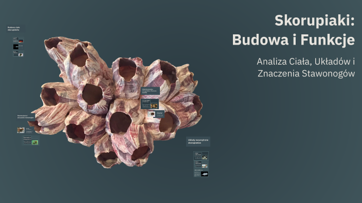 Skorupiaki: Budowa i Funkcje by Jakub Kowalski on Prezi
