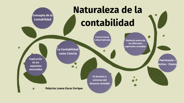 Naturaleza de la contabilidad by Oscar Palacios on Prezi