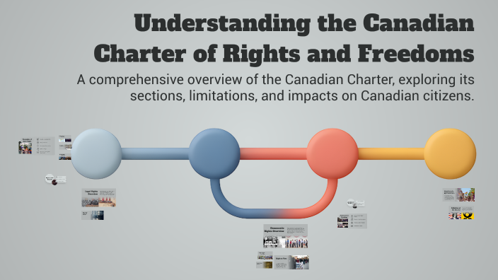 Understanding the Canadian Charter of Rights and Freedoms by Silas ...