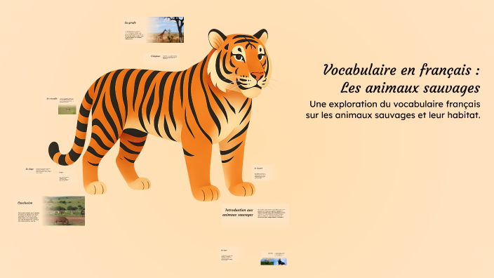 Vocabulaire en français : Les animaux sauvages by ALO y David