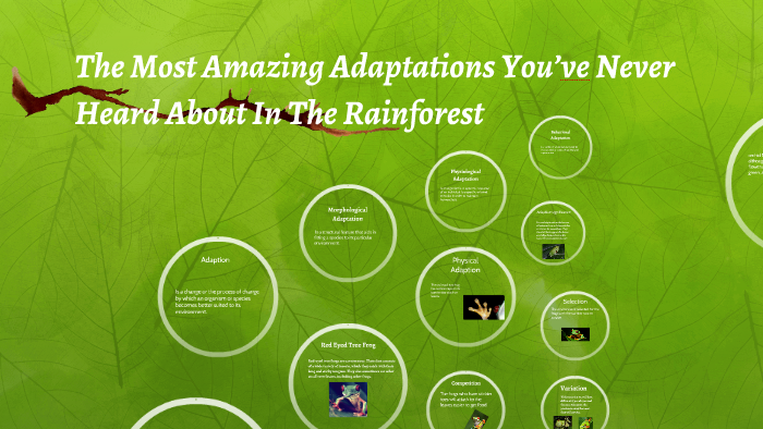 The Most Amazing Adaptations You’ve Never Heard About by Ashvin Dhiman ...