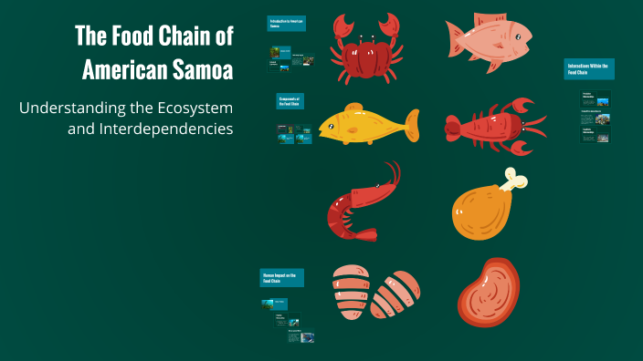 The Food Chain of American Samoa by ava elise on Prezi