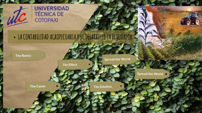 La Contabilidad Agropecuaria y su desarrollo en el Ecuador by Sandra ...