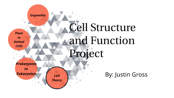 Cell Structure and Function Project by Justin Gross