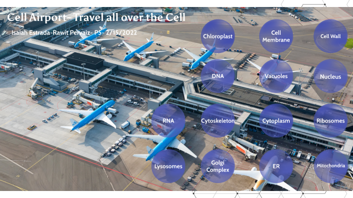 The Airport of Cells by Isaiah Estrada on Prezi
