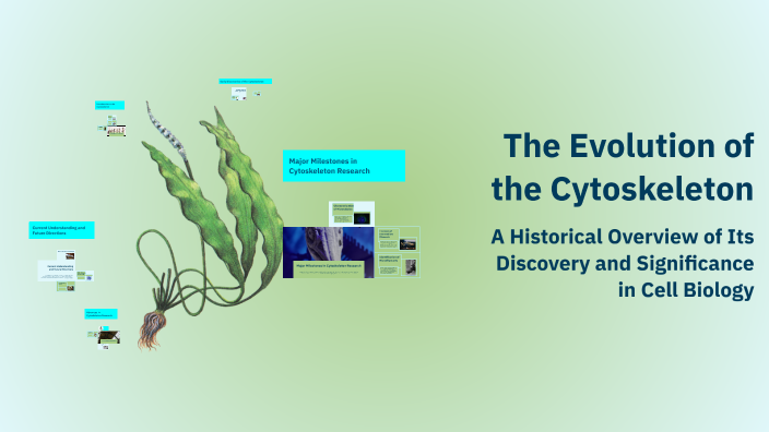 The Evolution of the Cytoskeleton by cqliu liu on Prezi