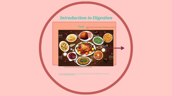 The Digestive System's Journey of Food by Khang Nguyen on Prezi