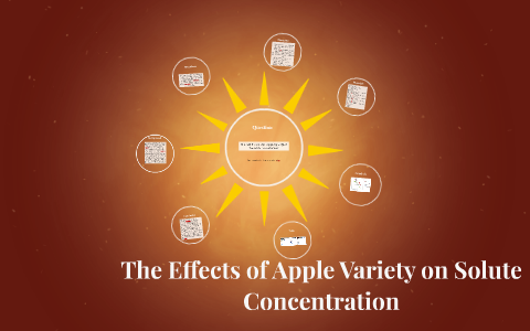 The Effects of Apple Variety on Solute Concentration by Sam L on Prezi