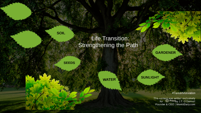 Life Transition_ Research by Phebe Pendon on Prezi