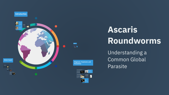 Ascaris Roundworms by مستر فودج on Prezi