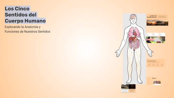 Los Cinco Sentidos del Cuerpo Humano by David Nova on Prezi