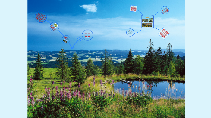 Parcul National by proiecte echipa on Prezi