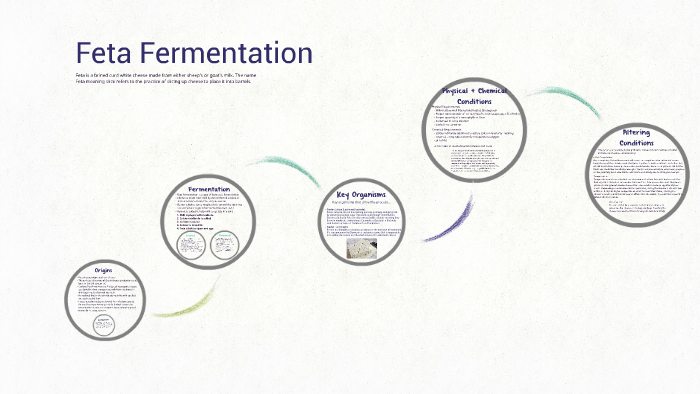 Feta Cheese Fermentation by Shaye Stephenson on Prezi