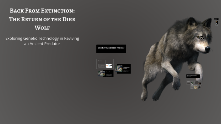 Back From Extinction: The Return of the Dire Wolf by Everett Newman on ...
