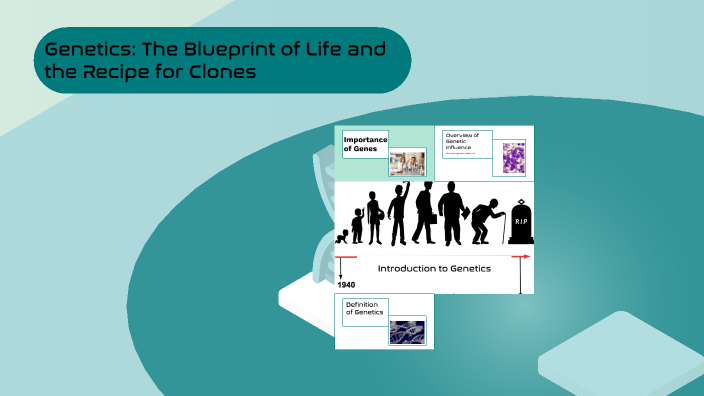 Genetics: The Blueprint of Life and the Recipe for Clones by Amelia ...