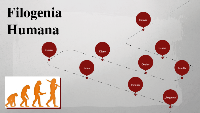 filogenia del ser humano by Daniel Rivera Alvarez on Prezi
