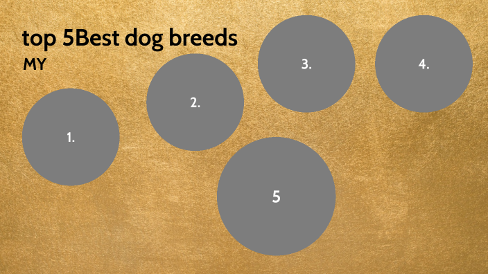 Best dog breeds by matthew stevens on Prezi