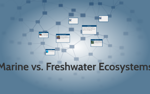 Marine vs. Freshwater Ecosystems by robert clark on Prezi
