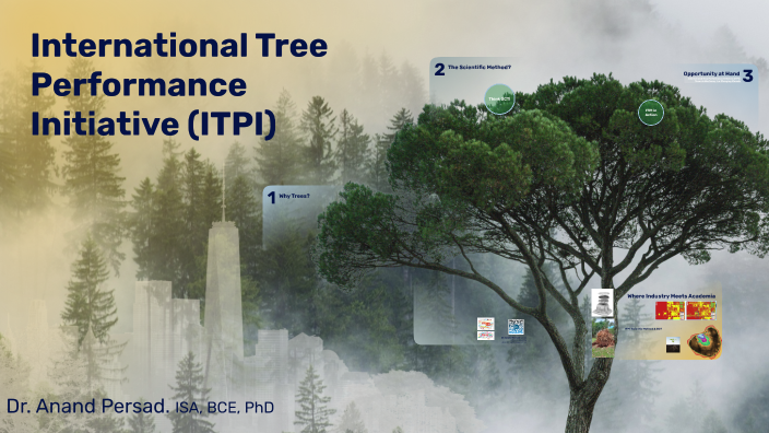 ITPI: Dr Anand Persad 2024 by W. A. on Prezi
