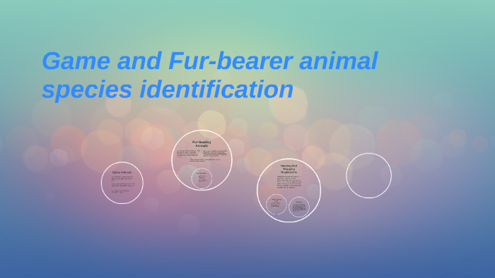 Game and Fur-bearer animal species identification by Jose Zavala on Prezi