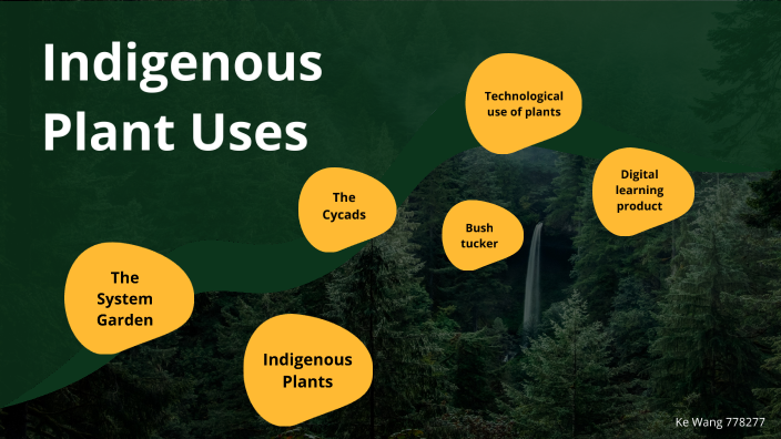 Indigenous Plant Uses by Coco Wang on Prezi