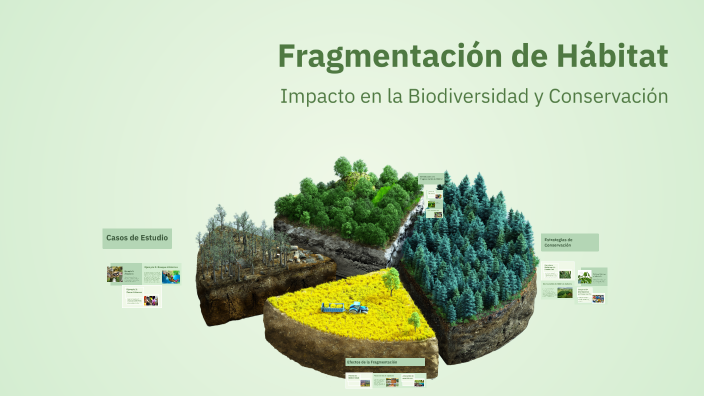 Fragmentación de Hábitat by brad araya on Prezi