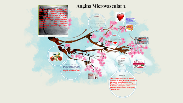 Angina Microvascular 2 by jorge narváez on Prezi