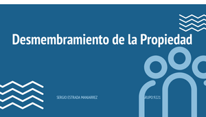 Desmembramiento de la Propiedad by Sergio Estrada Manjarrez on Prezi Design