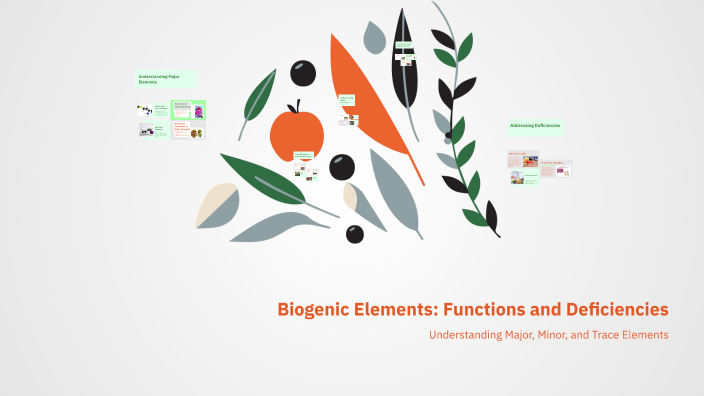 Biogenic Elements: Functions and Deficiencies by lavesh sirvi on Prezi