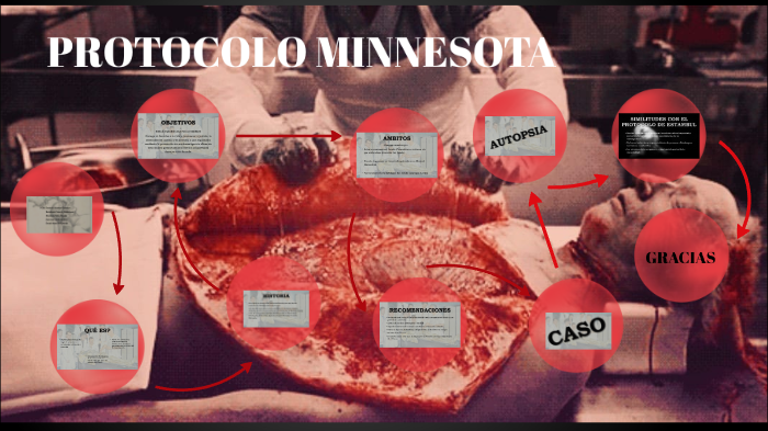 PROTOCOLO MINNESOTA by Estefani Velasquez on Prezi