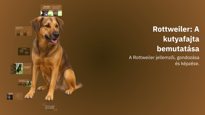 Rottweiler: A kutyafajta bemutatása by Rita spisák on Prezi