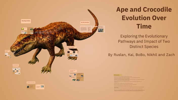 Ape and Crocodile Evolution Over Time by zachary martin on Prezi