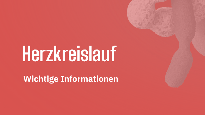 Herzkreislauf by Vincent Rühl on Prezi