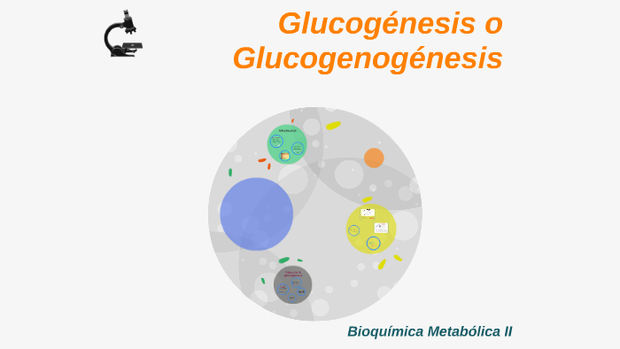 Glucogénesis o Glucogenogénesis by nizayeth andrade on Prezi